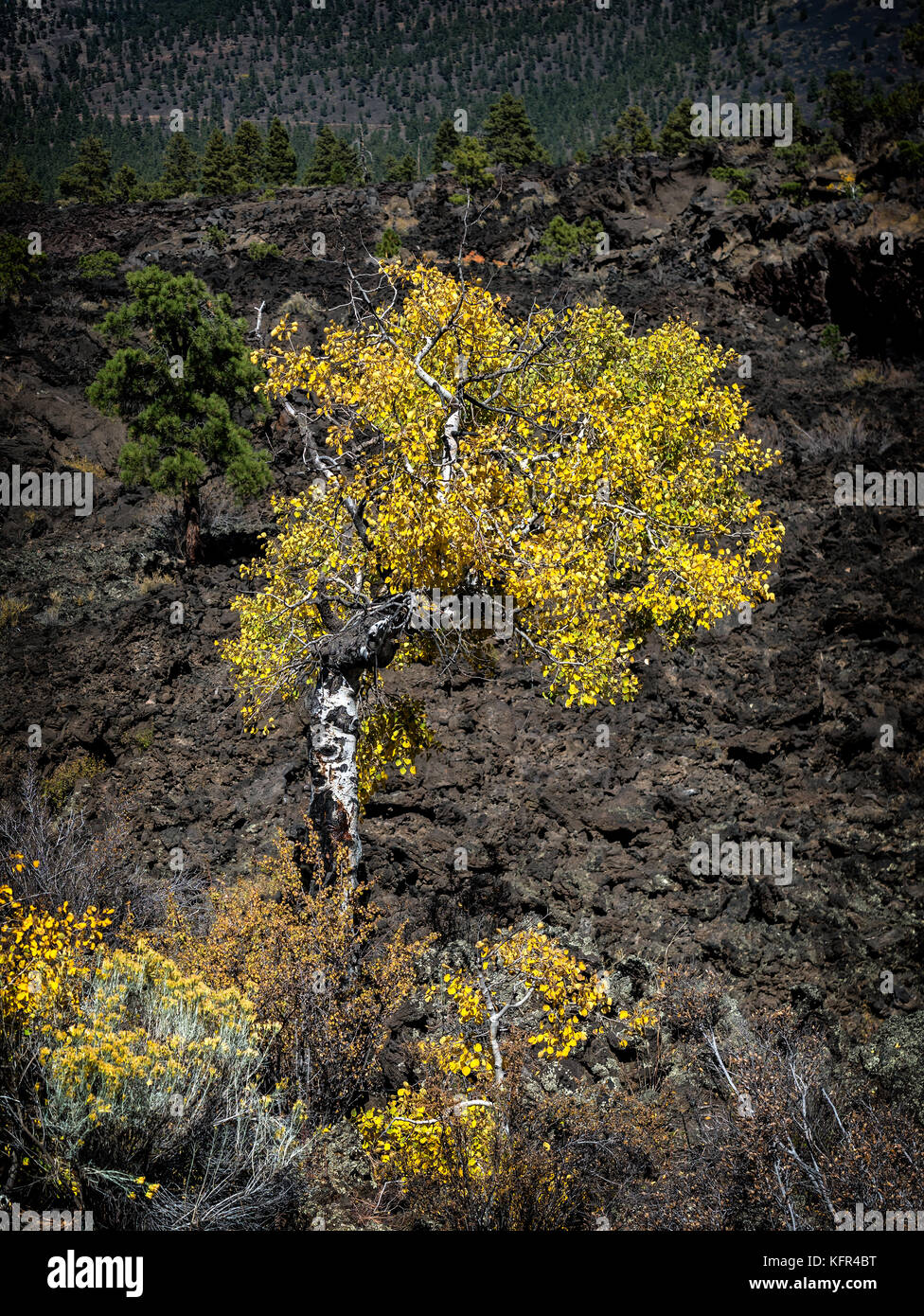 Flagstaff mountain hi-res stock photography and images - Alamy