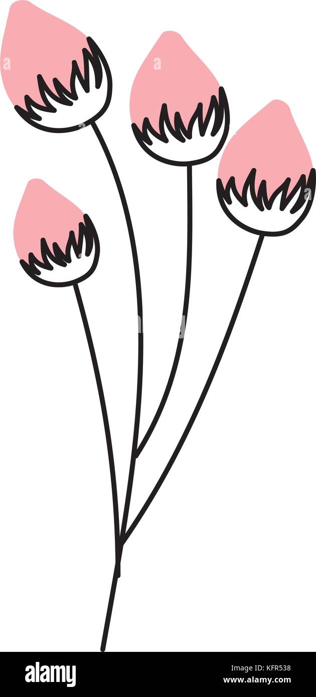 Spring bulb flowers garden Stock Vector Images - Alamy