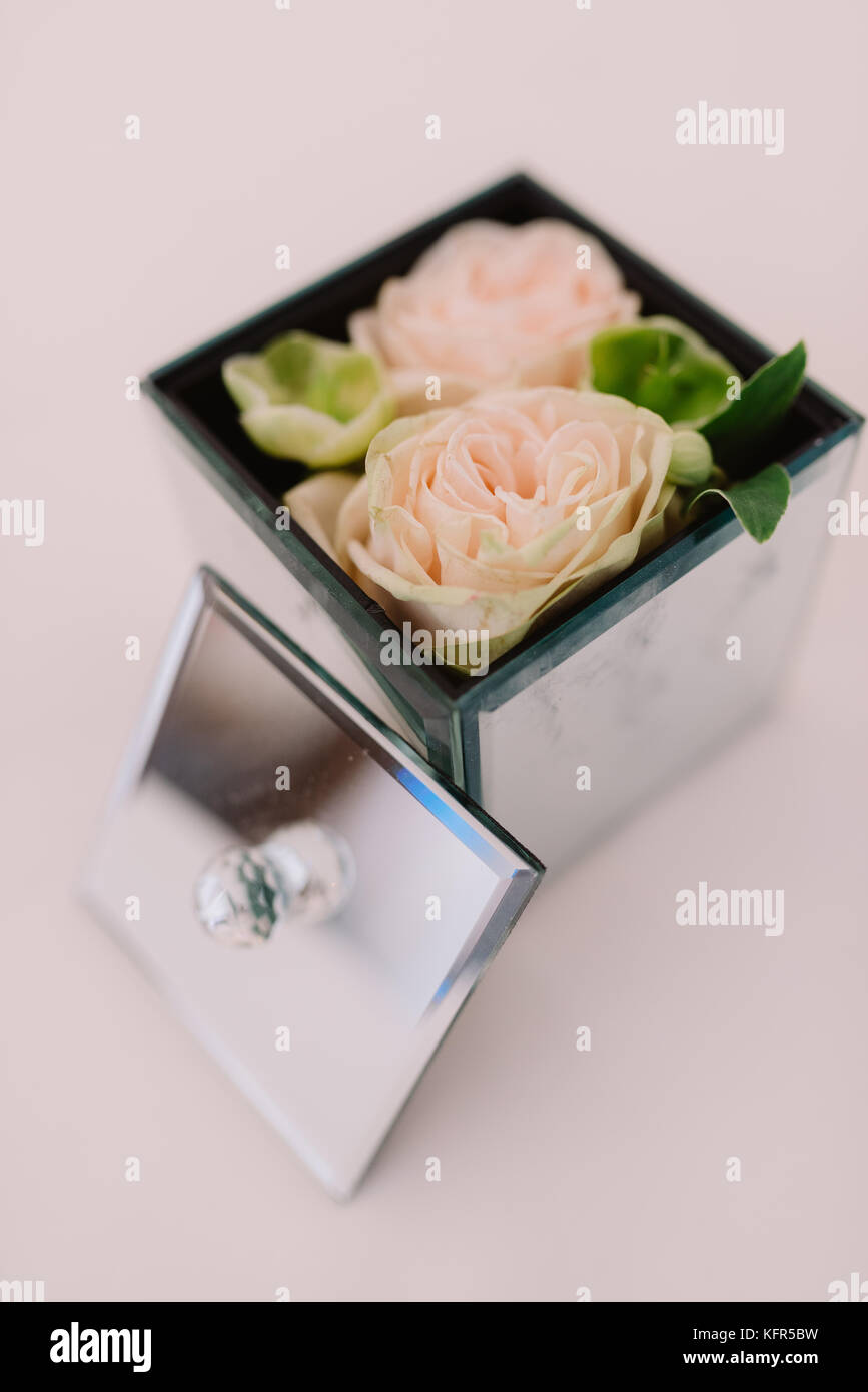 White box mirror top hi-res stock photography and images - Alamy