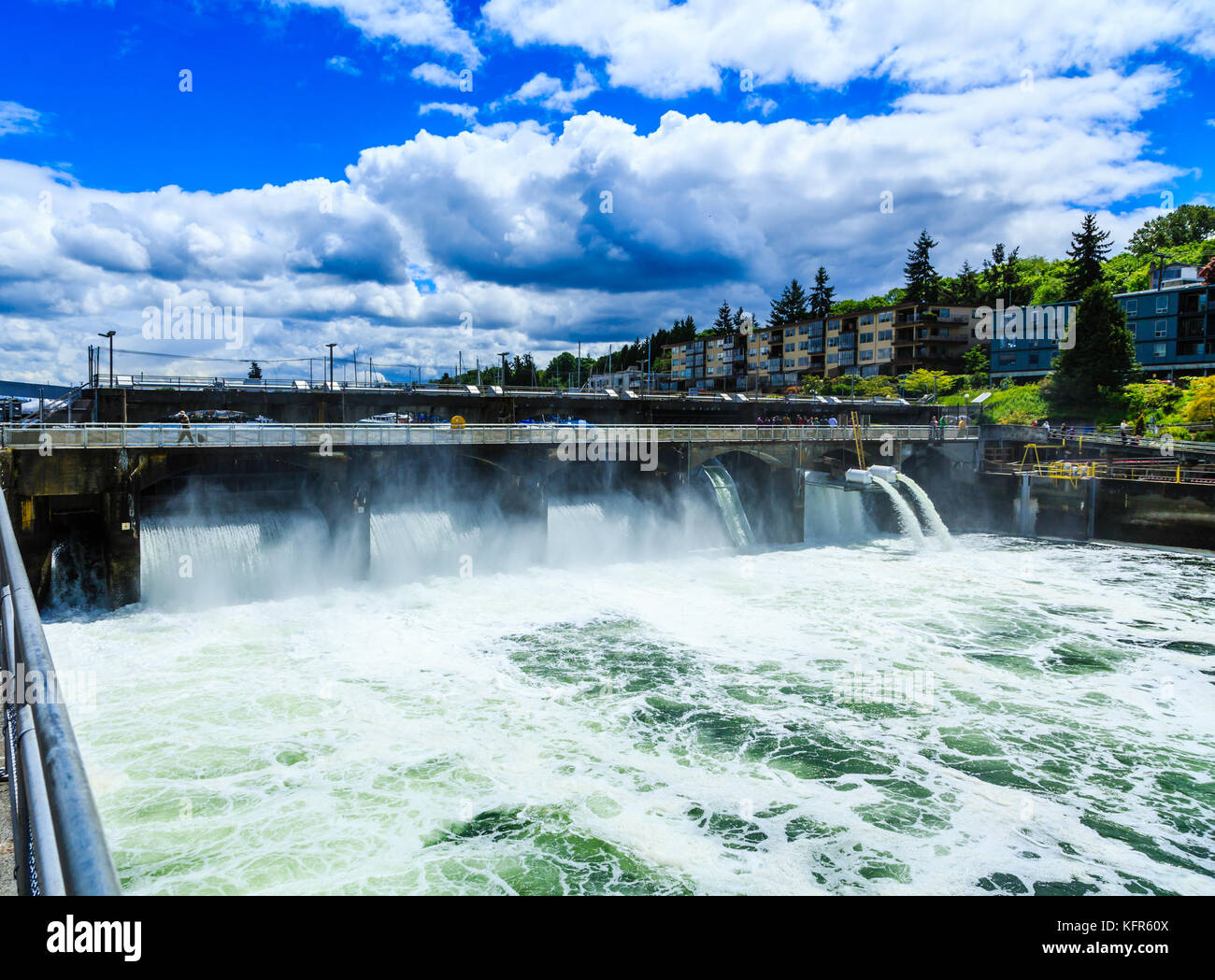 Fish Ladder at Ballard Locks Stock Photo - Alamy