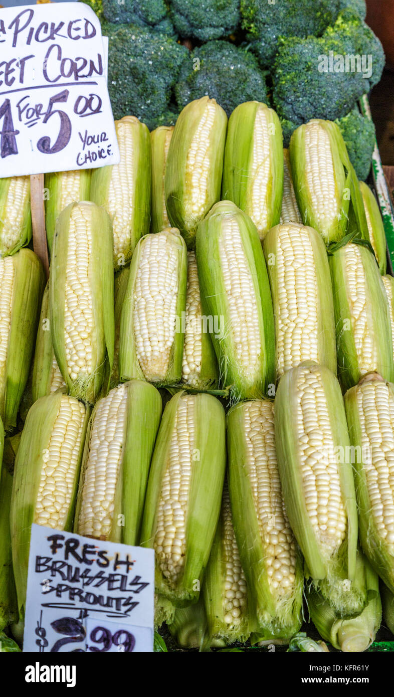 Fresh Corn in a Vegetable Market Stock Photo - Alamy