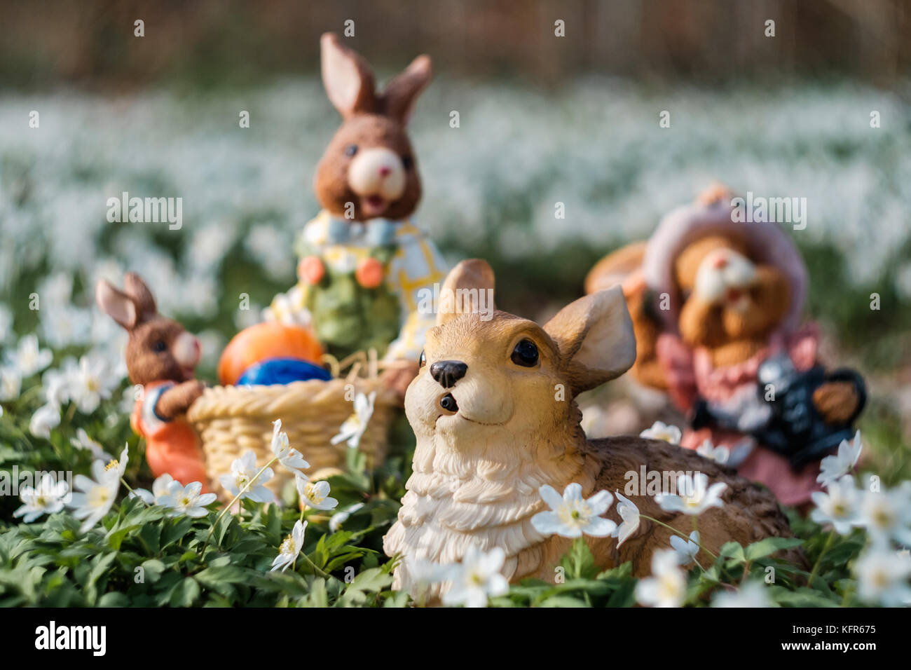 Osterhase osterhasen hi-res stock photography and images - Alamy