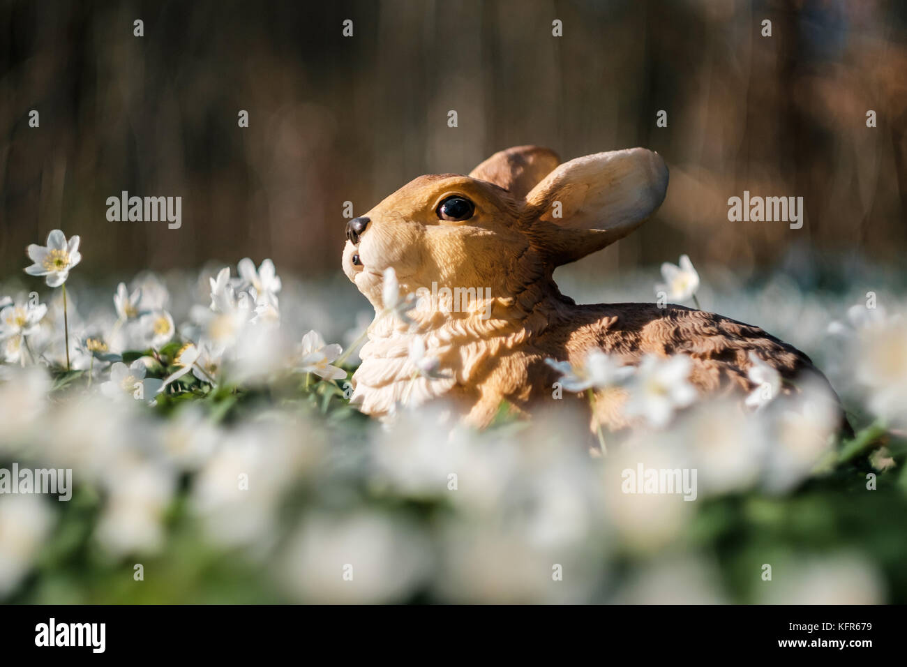 Osterhase osterhasen hi-res stock photography and images - Alamy