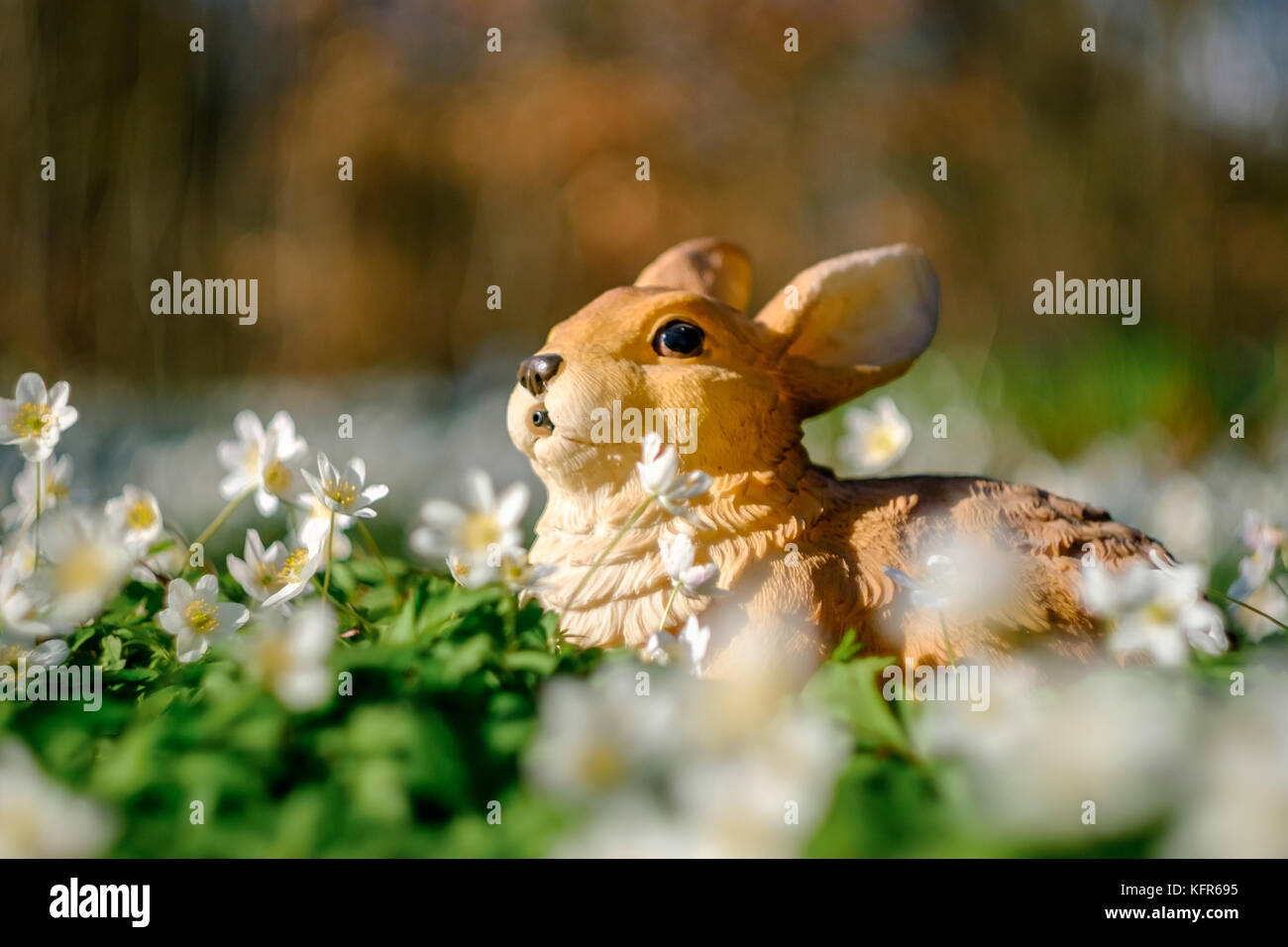 Osterhase osterhasen hi-res stock photography and images - Alamy