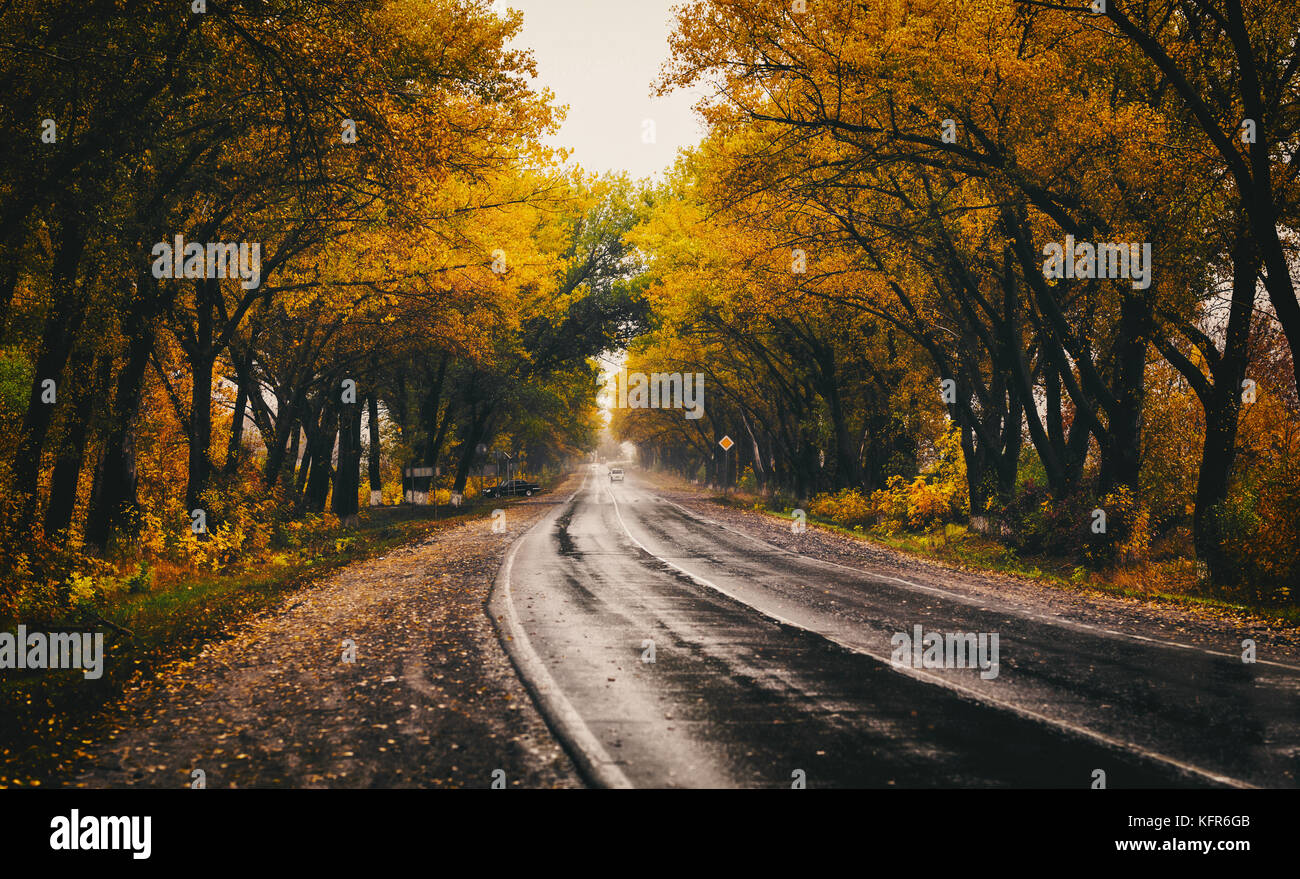 Autumn landscape with road and beautiful colored trees Stock Photo - Alamy