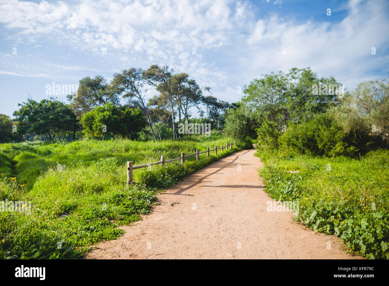 A path through the woods of Harhoura on spring, a dense forest close to ...