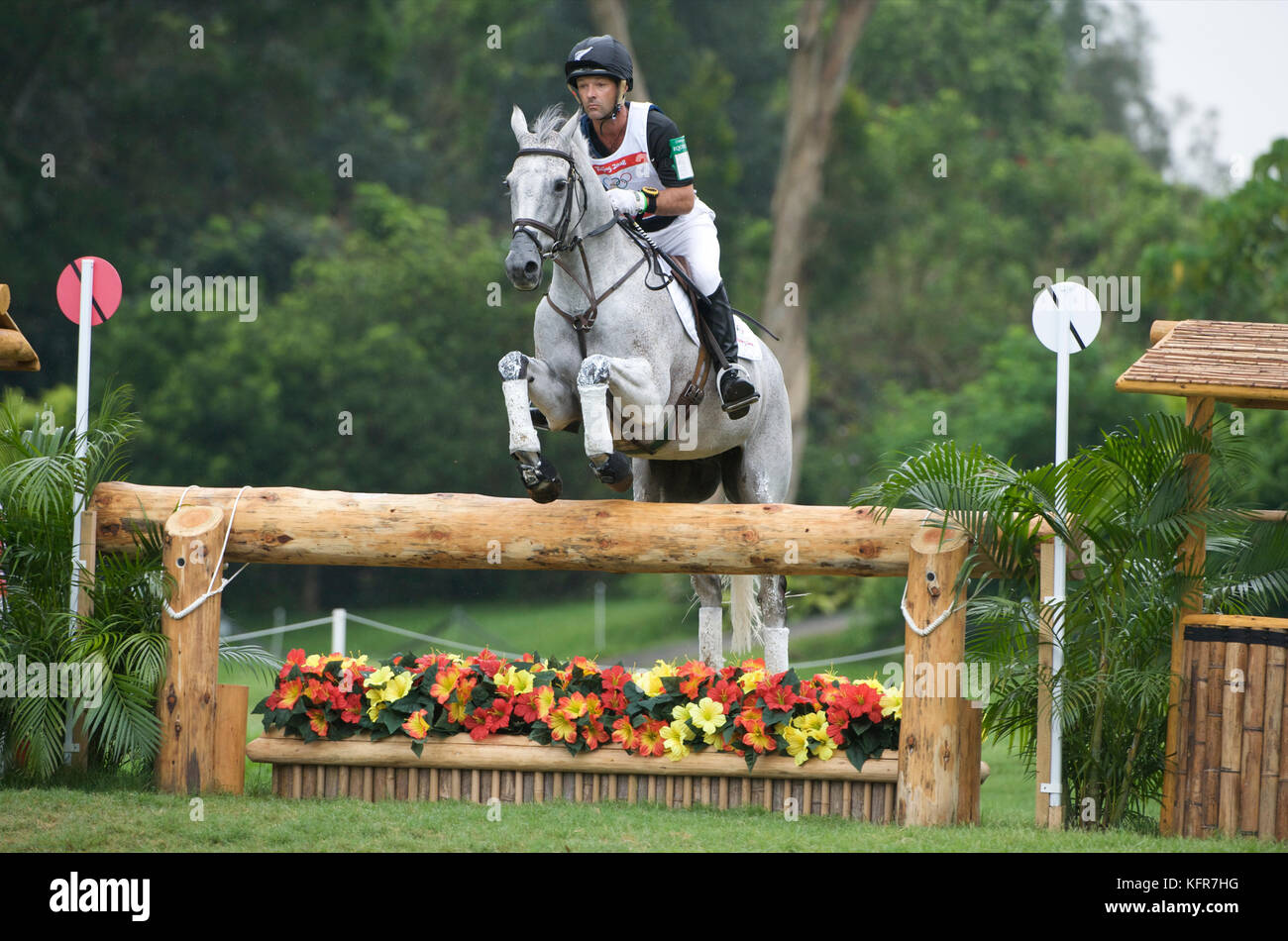 Joe meyer eventing hi-res stock photography and images - Alamy