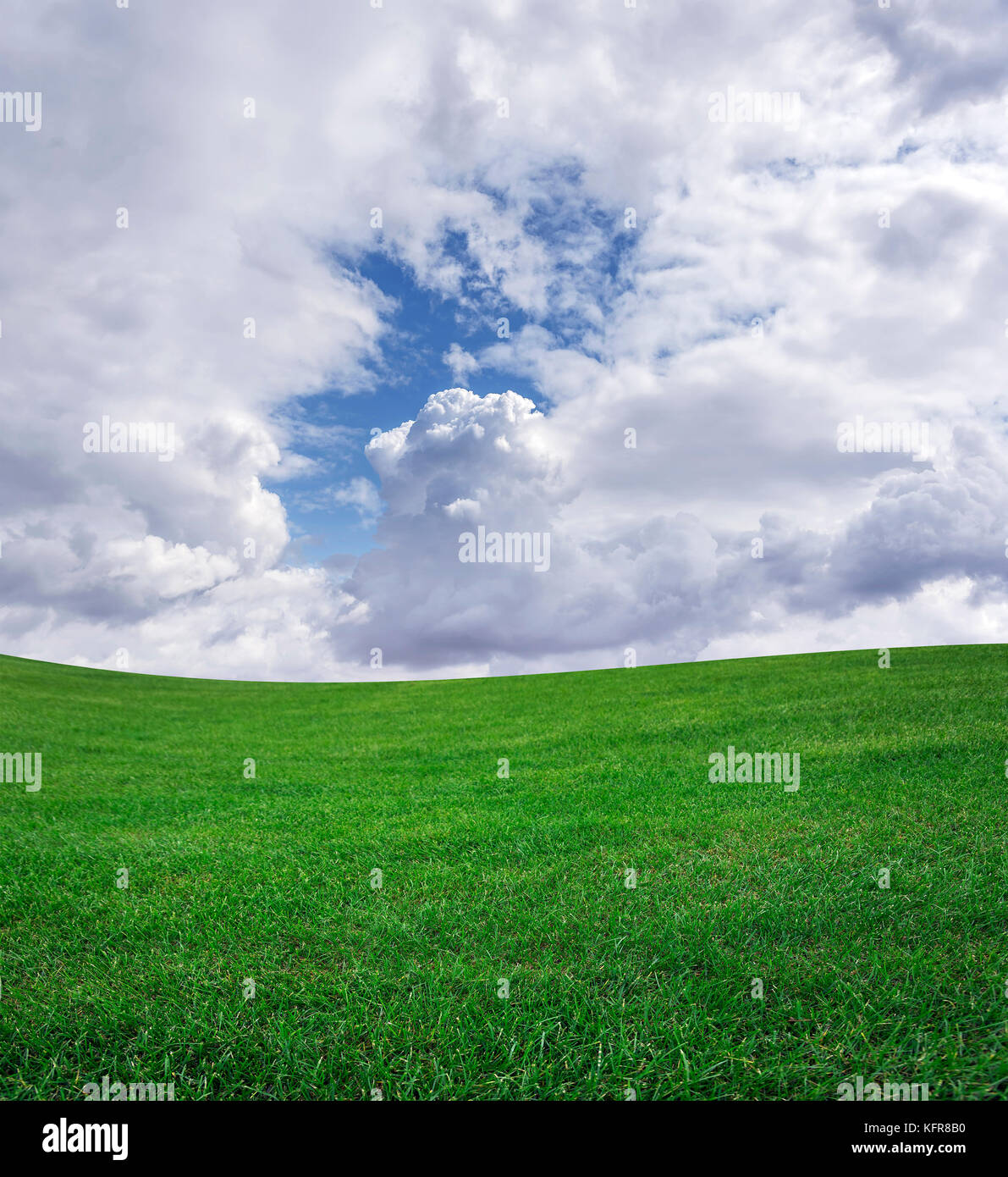 Green grass field and blue sky Stock Photo - Alamy