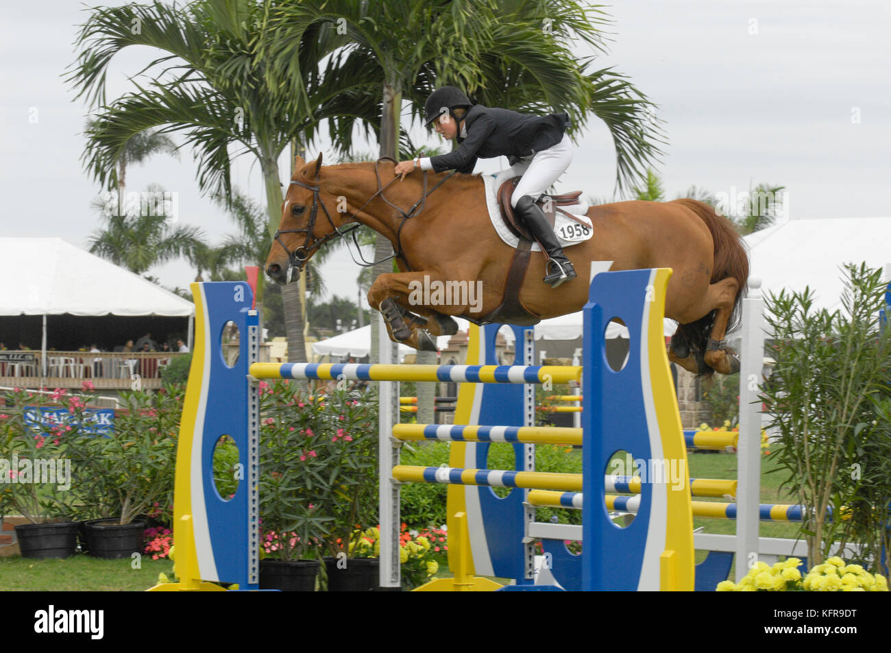 Sarah Segal (USA) riding True Love, Winter Equestrian Festival ...