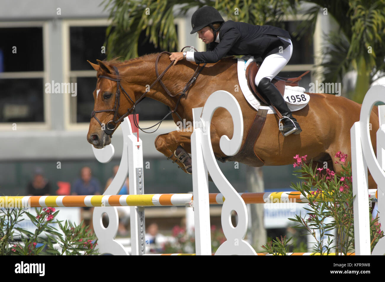 Sarah Segal (USA) riding True Love, Winter Equestrian Festival ...