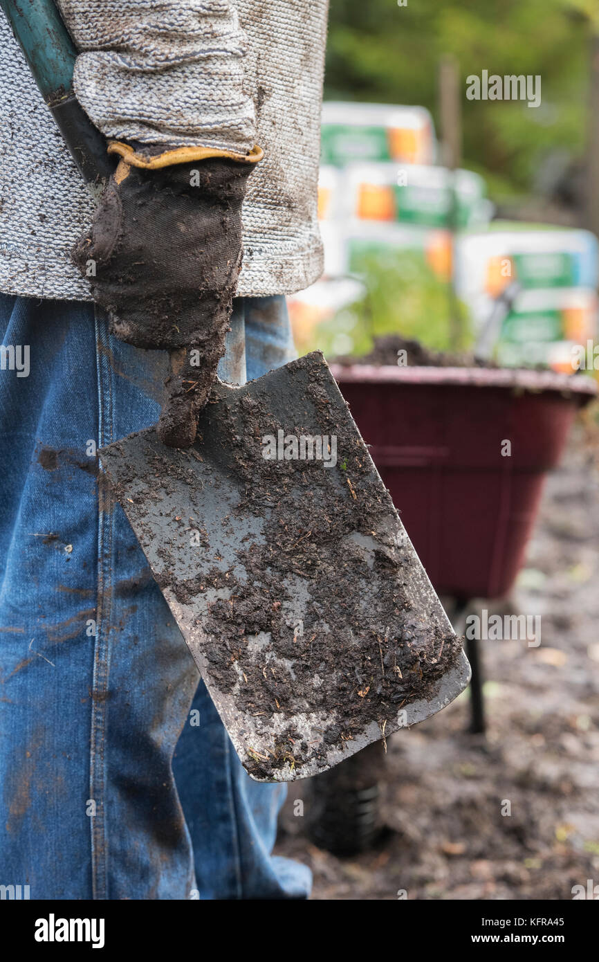 Gardener holding a spade after removing old weed membrane and wood bark ...