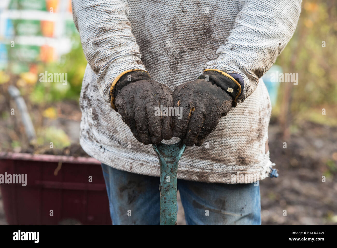 Gardener holding a spade after removing old weed membrane and wood bark ...