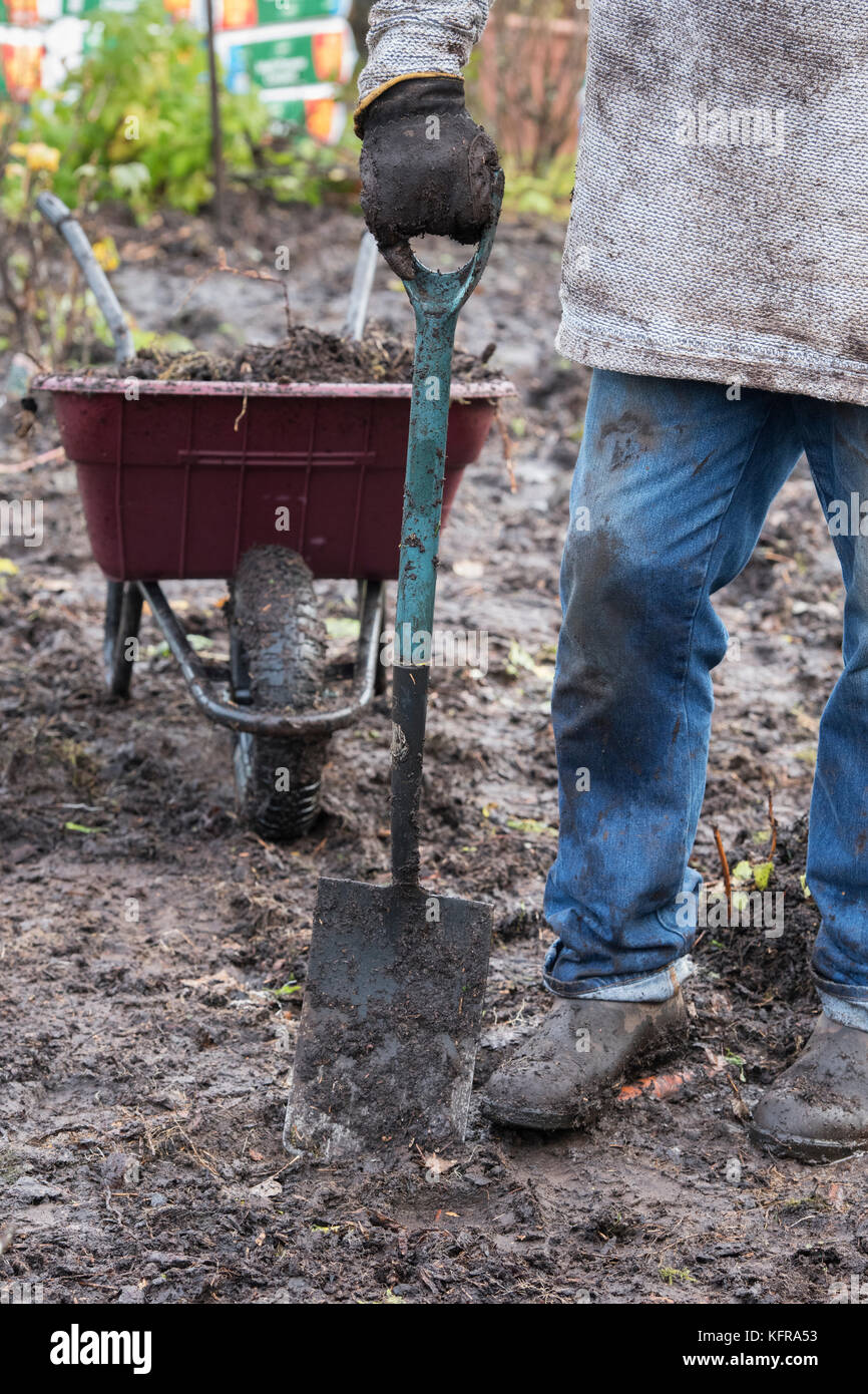 Gardener holding a spade after removing old weed membrane and wood bark ...