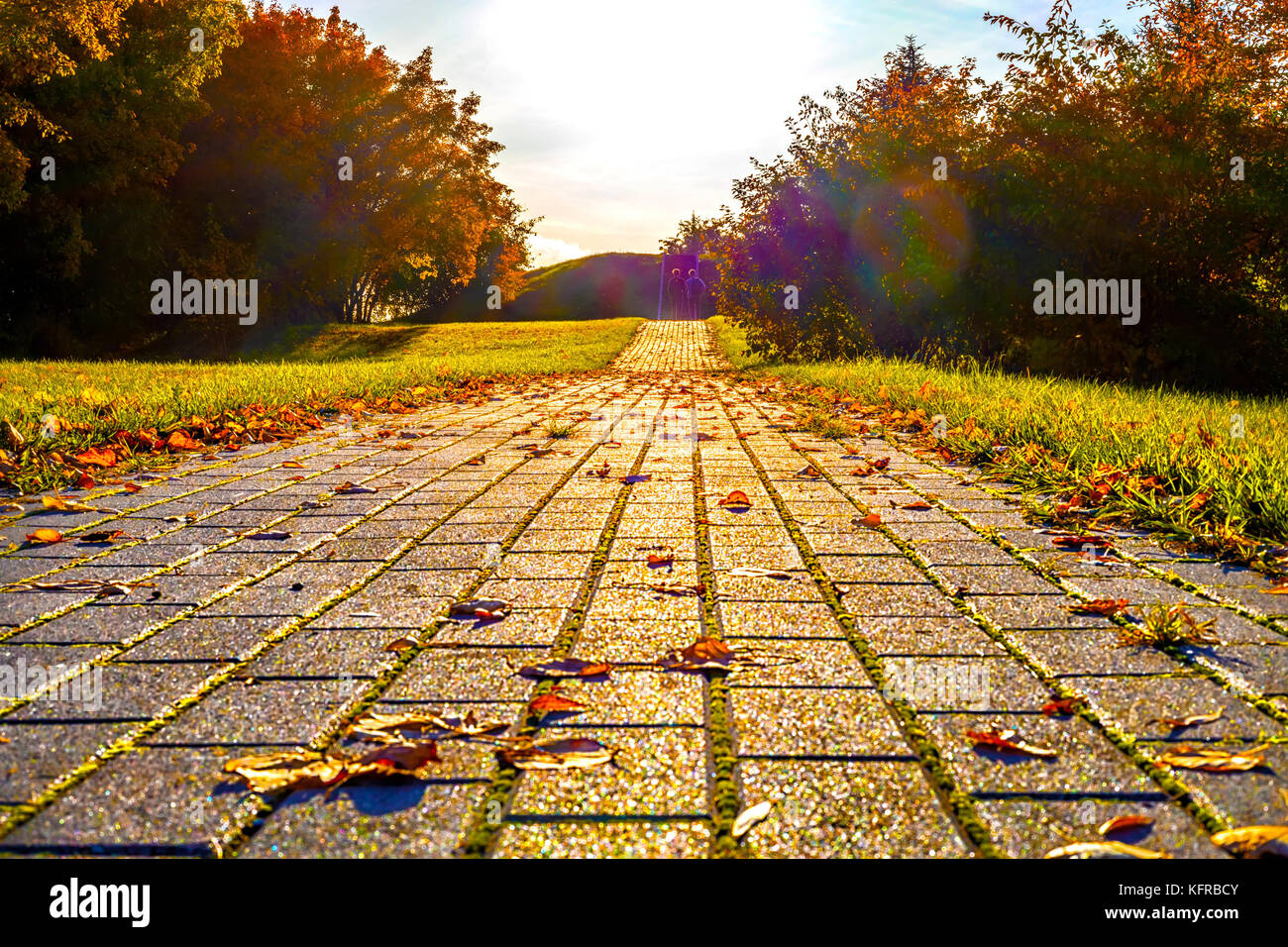 Sunlit Autumn Pathway with Fallen Leaves and Bright Foliage Stock Photo ...