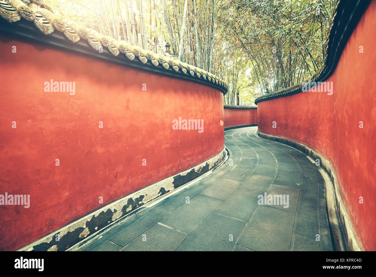 Curvy red wall passage surrounded by bamboo forest, color toning ...