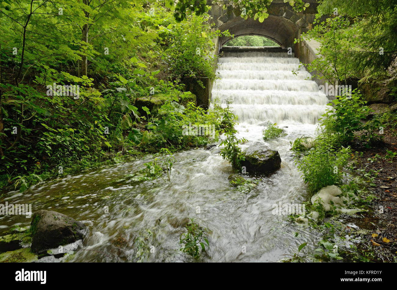 Waterfall in the forest with a strong water flow after the opening of ...