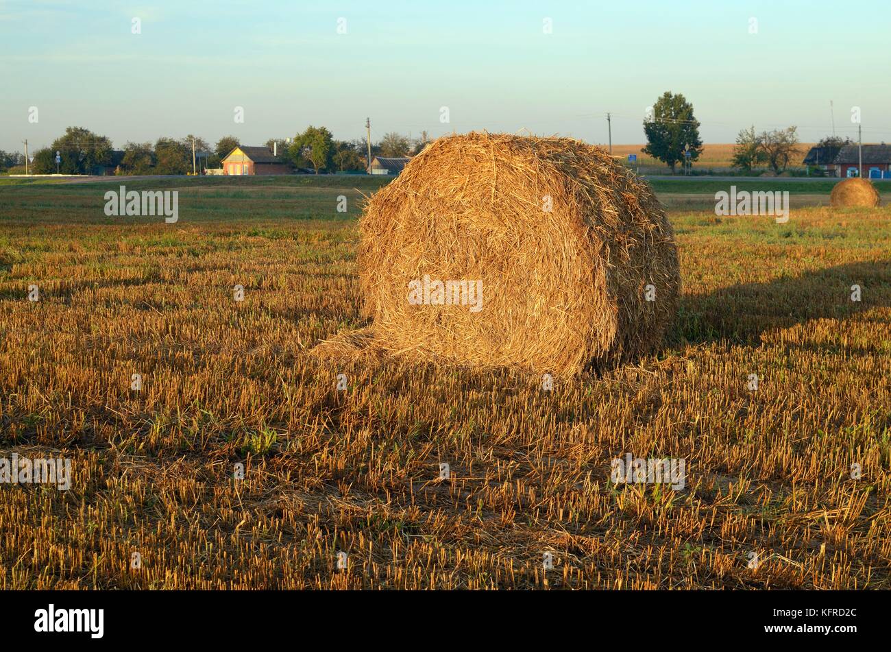 Dawn maid hi-res stock photography and images - Alamy