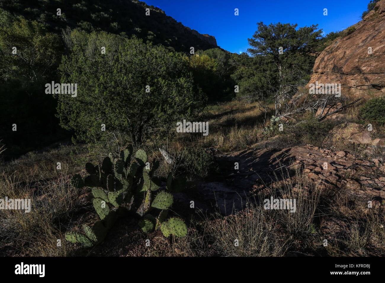 Cuenca de mexico hi-res stock photography and images - Alamy