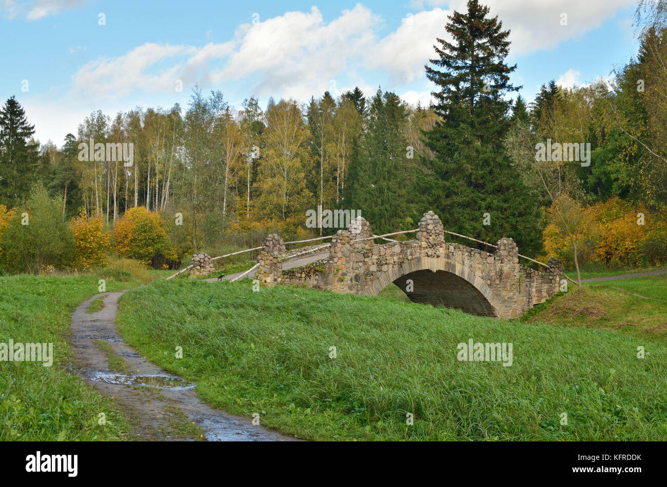 Beautiful landscape in a forest with a stone bridge Stock Photo - Alamy