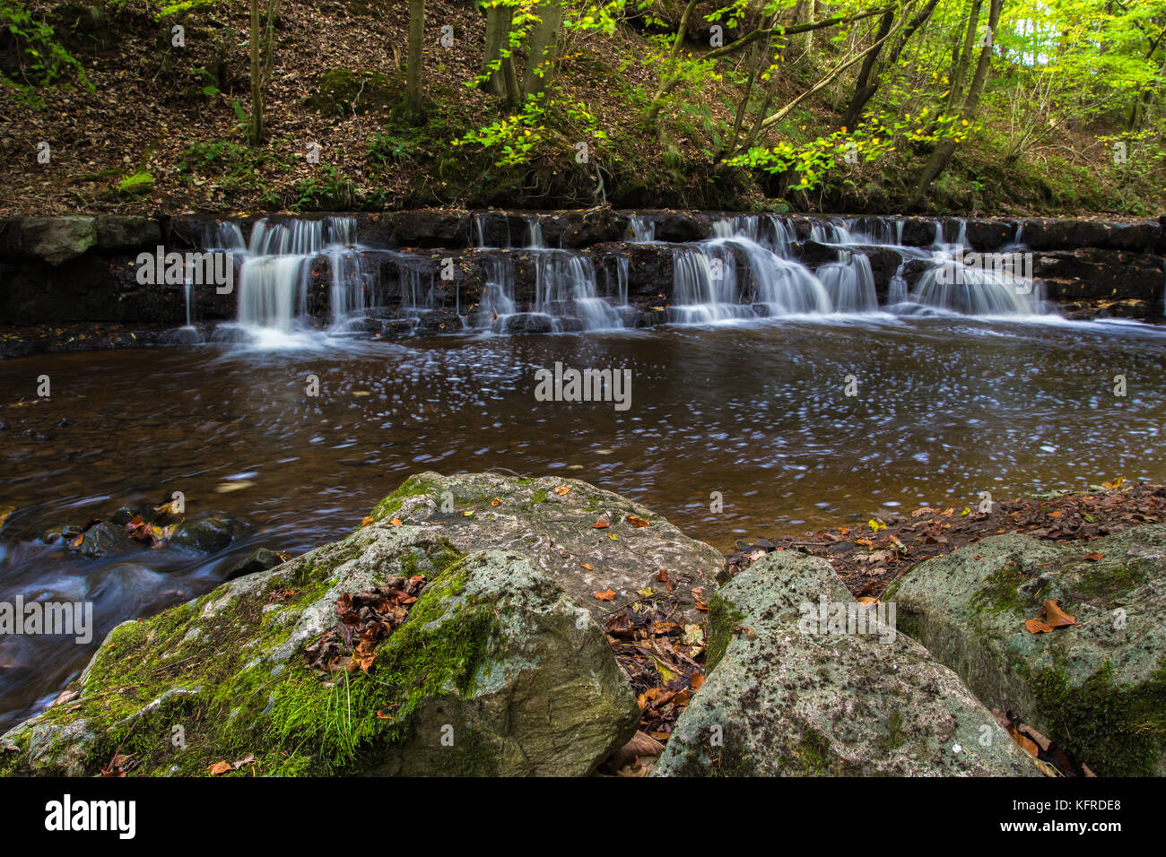 Witton woods hi-res stock photography and images - Alamy