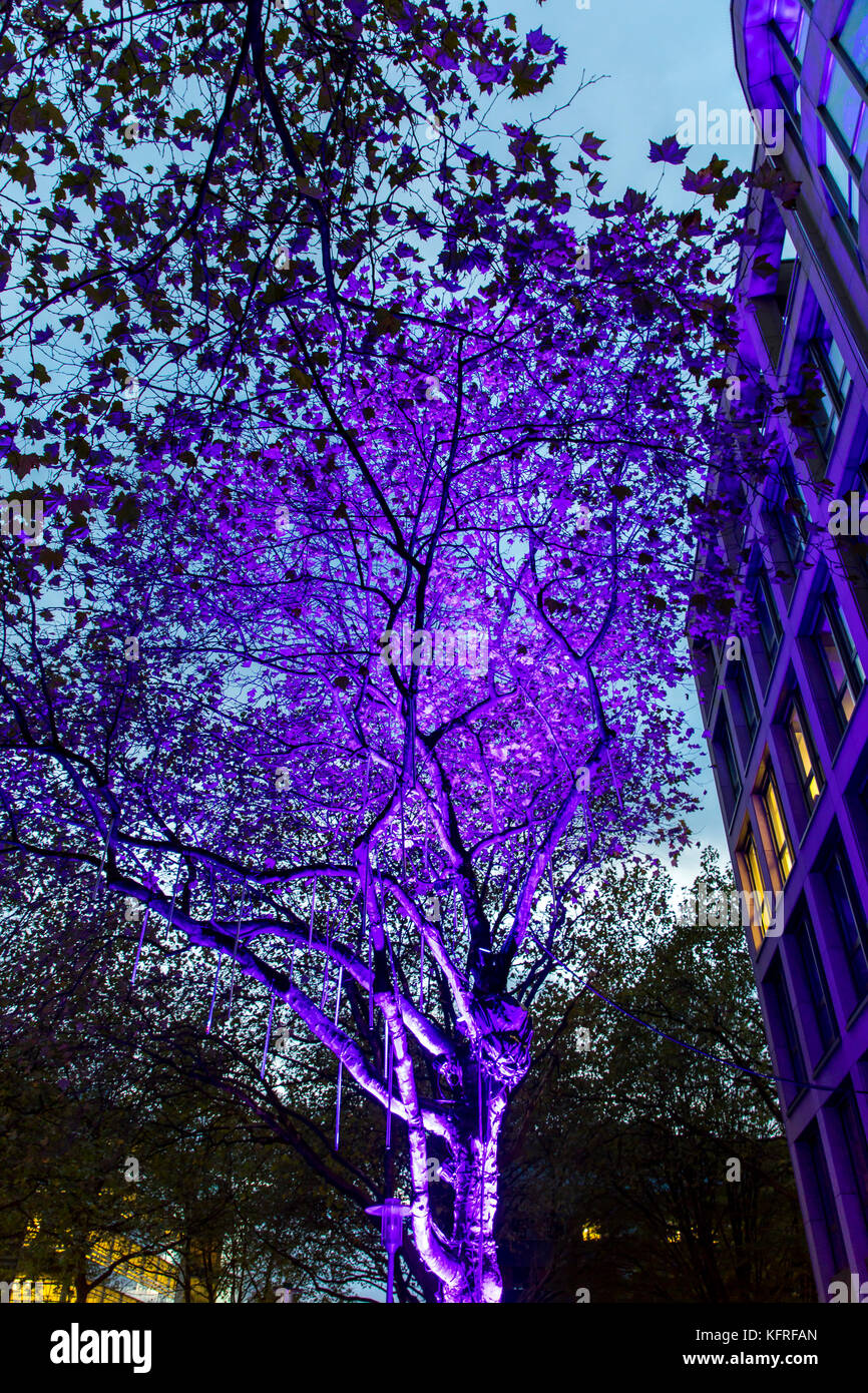 Illuminated tree Essen, Germany, during Essen Light Festival Stock ...