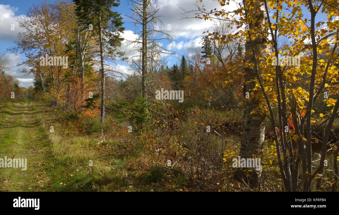 Side view Trail Stock Photo - Alamy