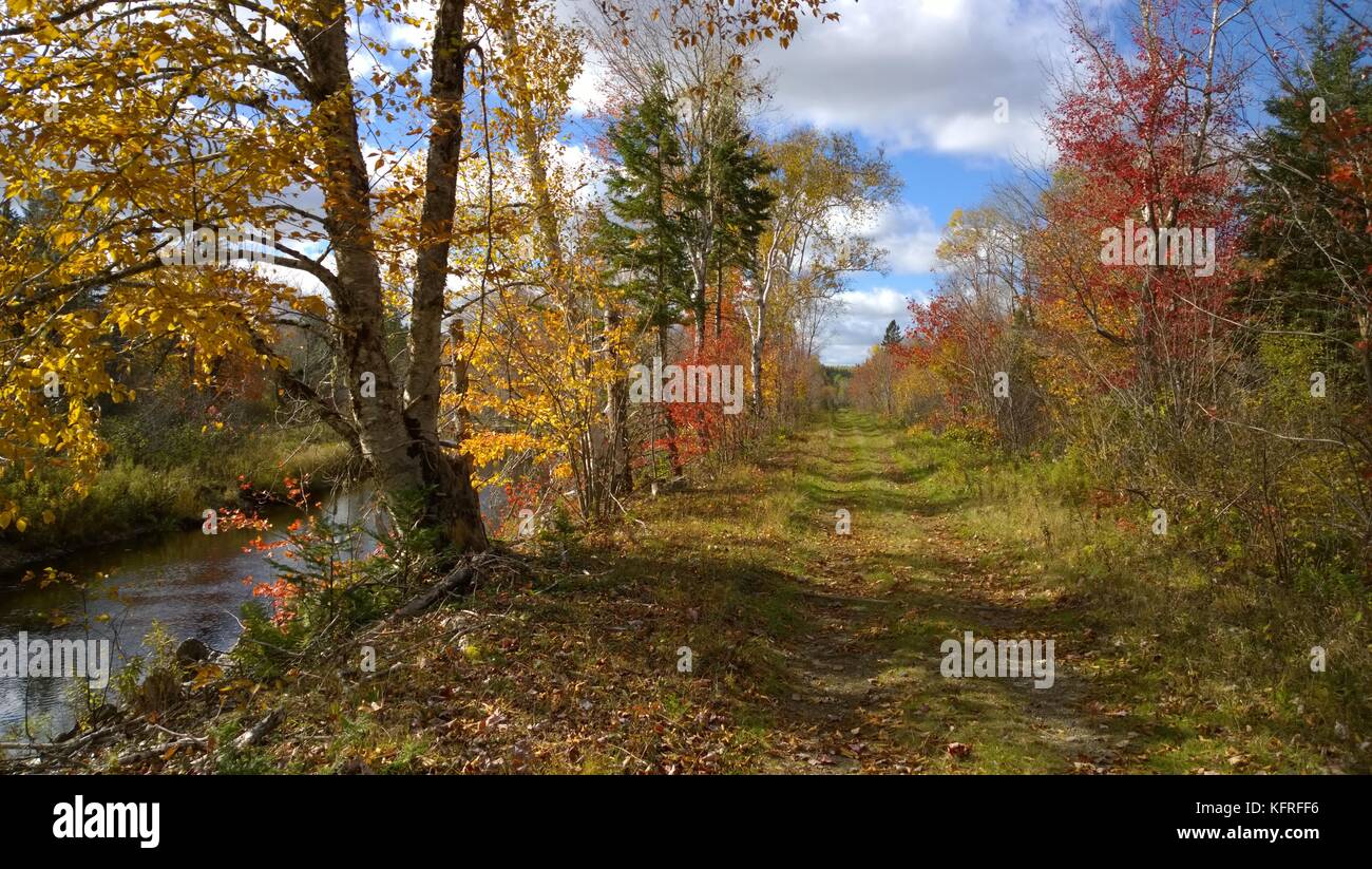 Positive i d hi-res stock photography and images - Alamy