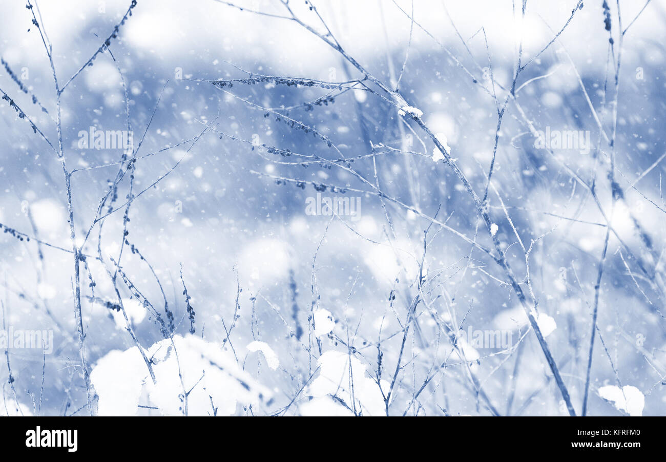 Landscape in the winter day Stock Photo - Alamy