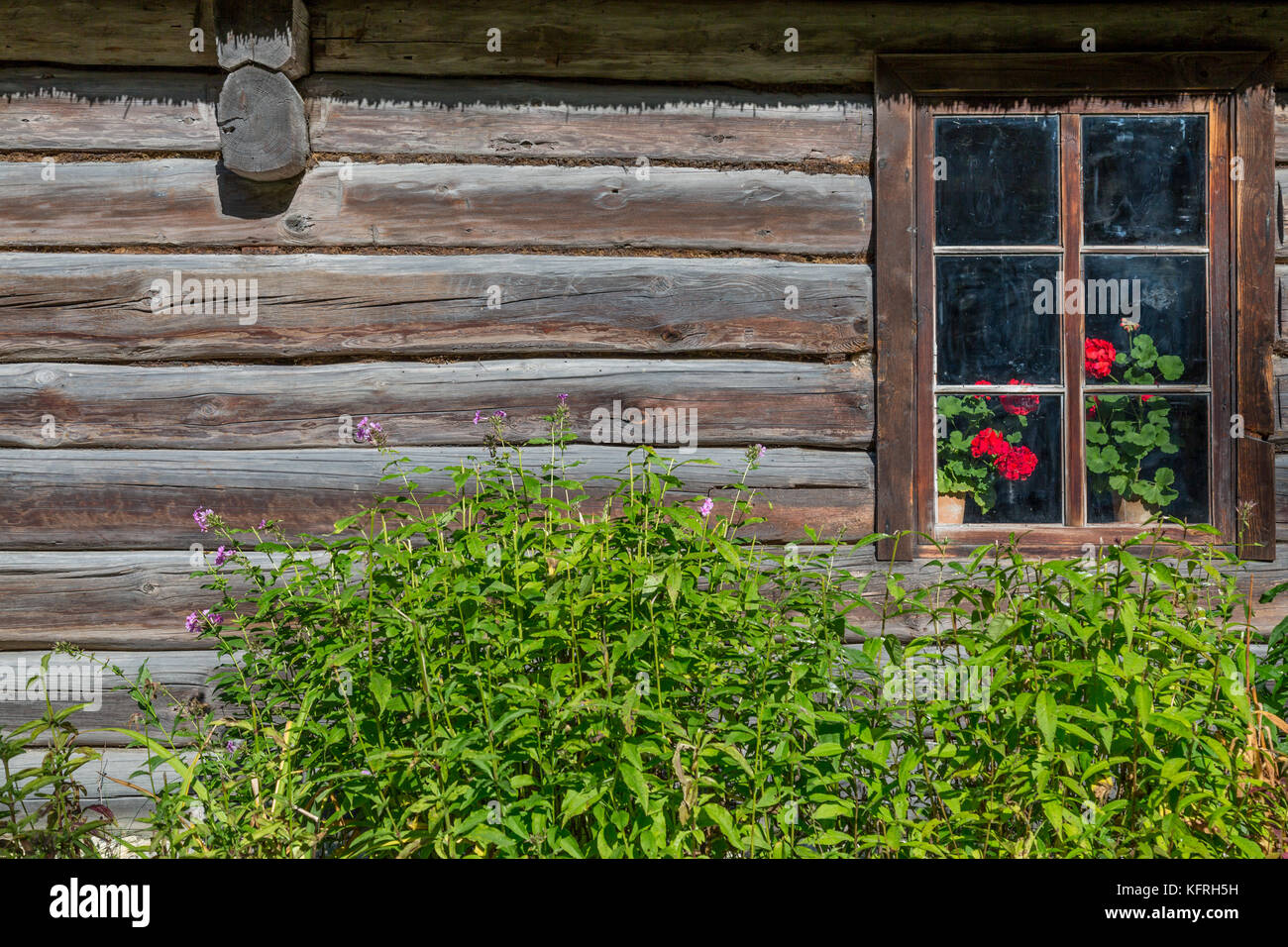 A window in an old wooden house of Traditional housing of the ...