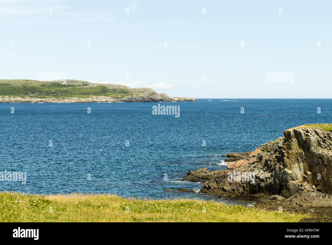 Elliston Newfoundland is a small fishing village on the Bonavista ...