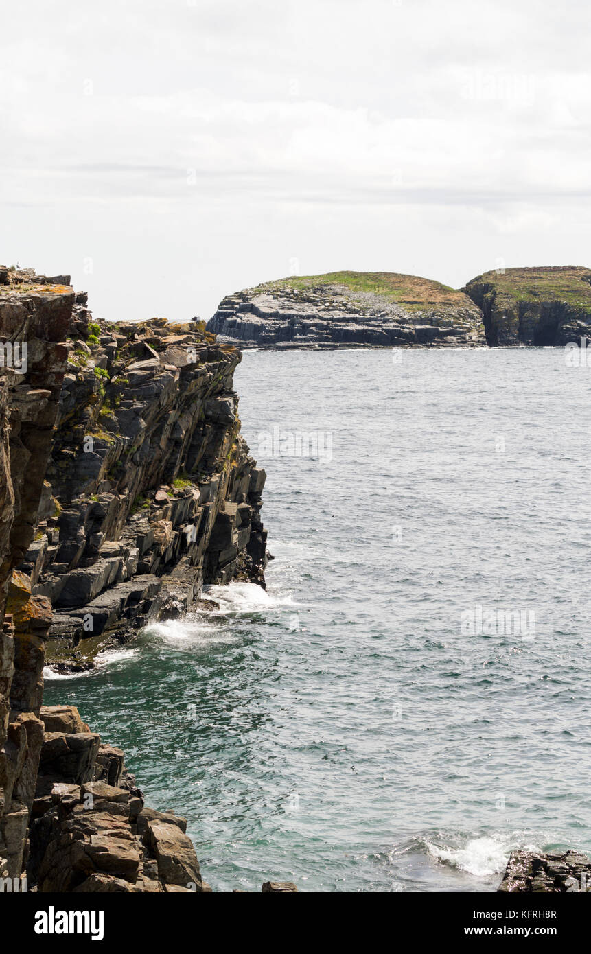 Elliston Newfoundland is a small fishing village on the Bonavista ...
