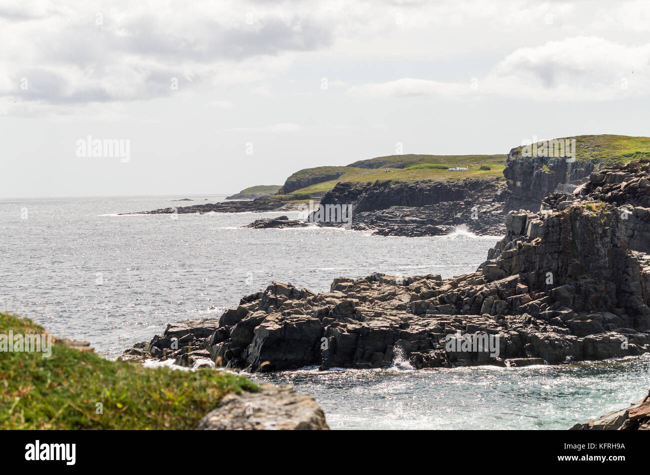Elliston Newfoundland is a small fishing village on the Bonavista ...