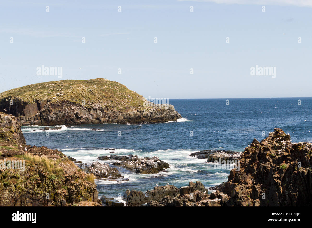 Elliston the root cellar hi-res stock photography and images - Alamy