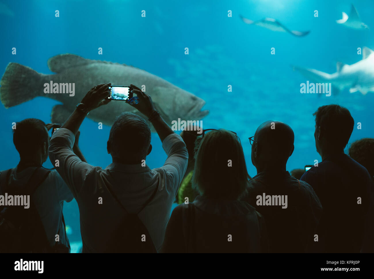 Many people observe the fish in the oceanarium Stock Photo - Alamy