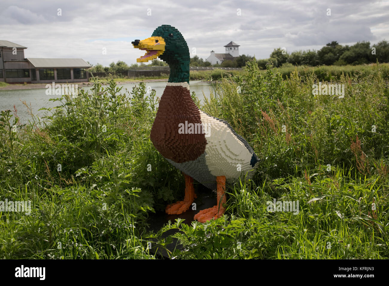Lego mallard hi-res stock photography and images - Alamy