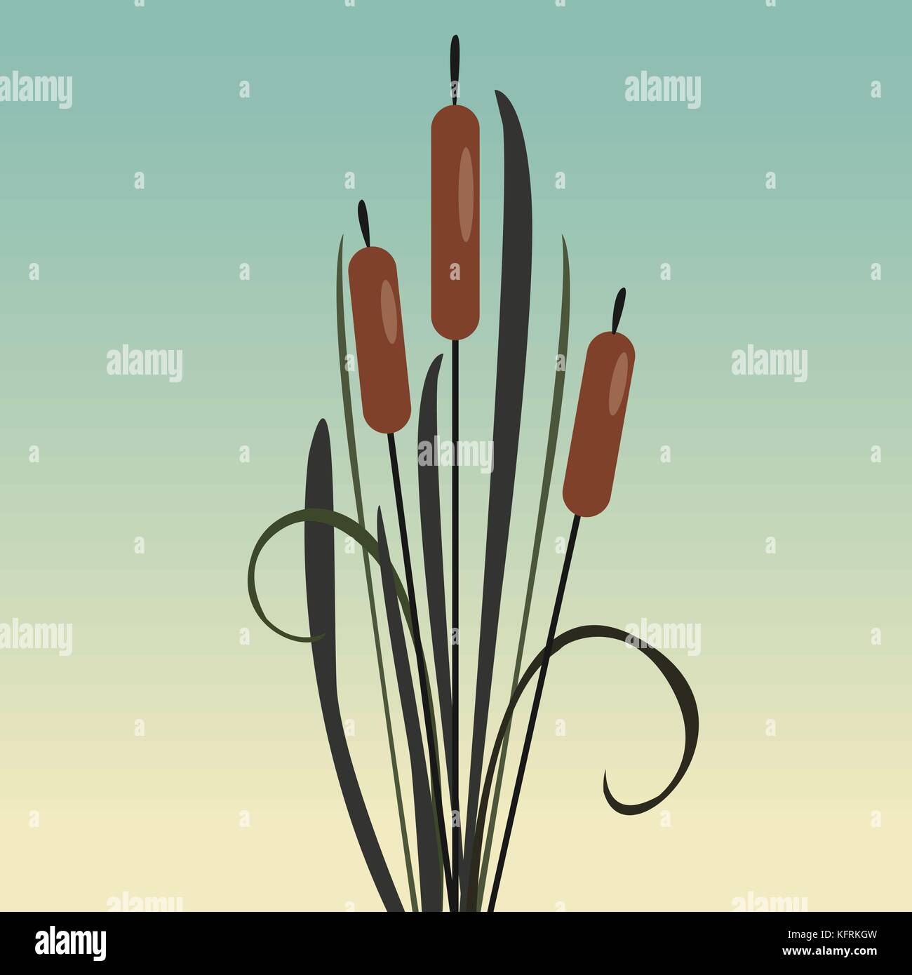 Cut reed Stock Vector Images - Alamy