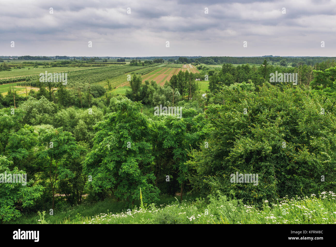 Aerial view from castle of the Masovian Dukes located in Czersk village ...