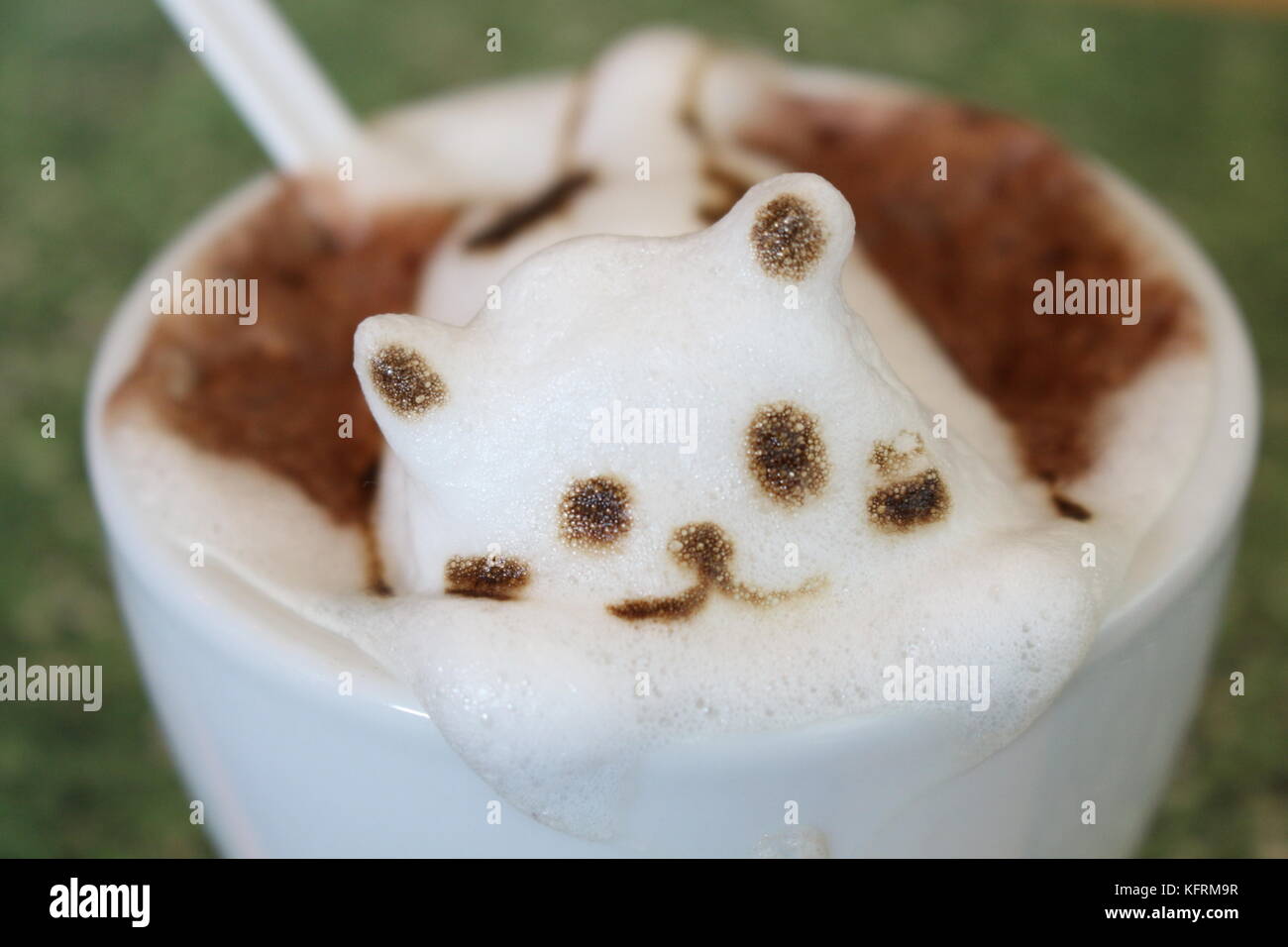 A cup of coffee Cute cat hot late chocolate with green background Stock ...