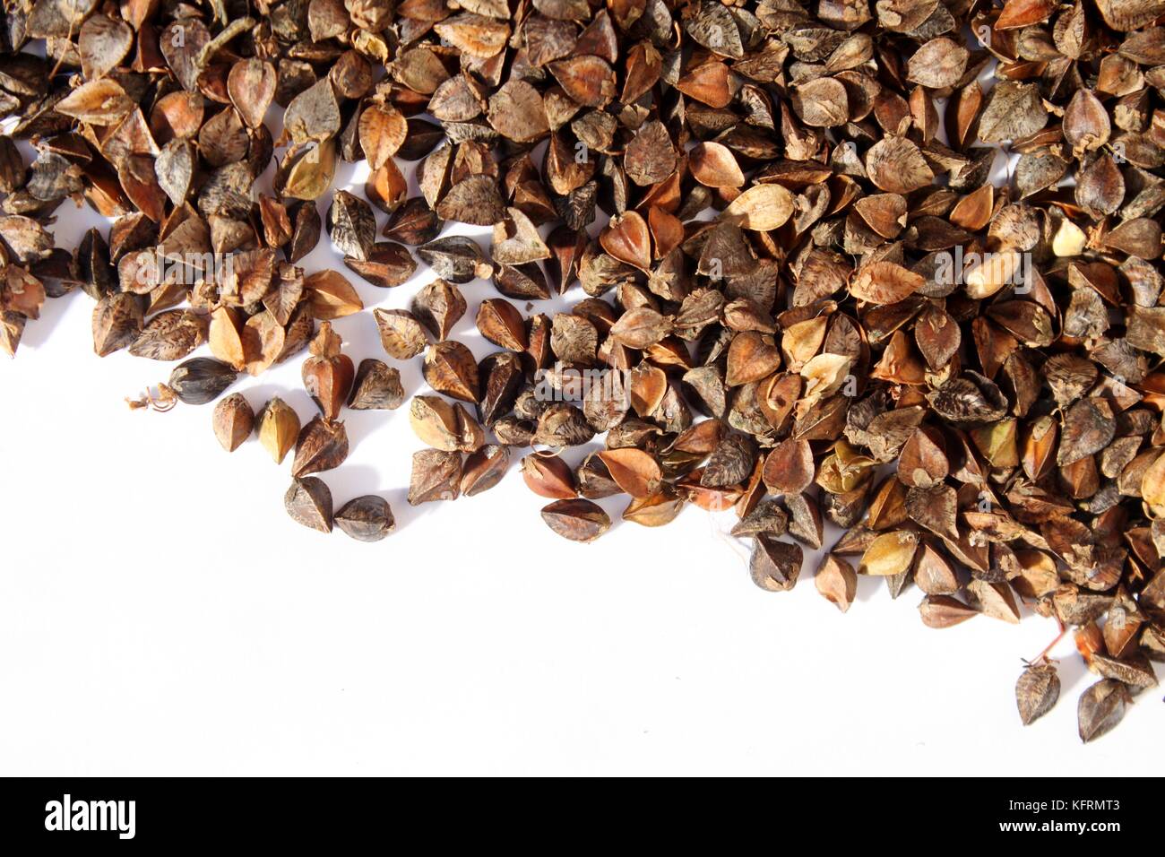 Buckwheat seeds on white background closeup Stock Photo - Alamy