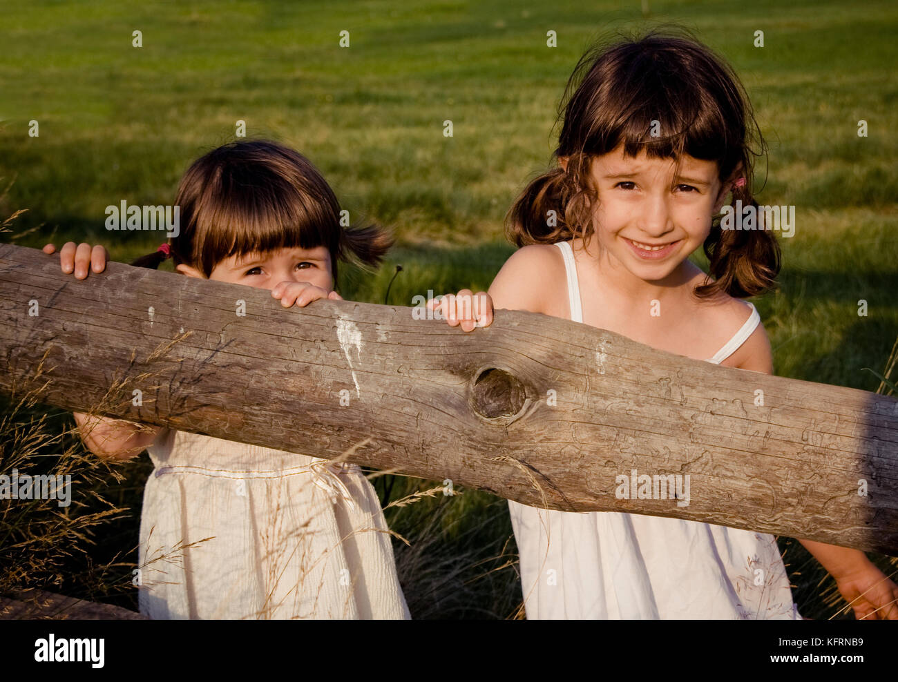 Two little girl (sister) peering behind a wooden fence. Looking at ...