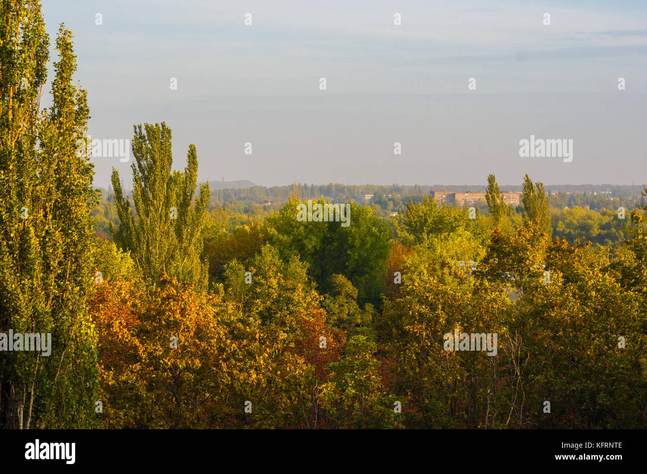 Urban autumn landscape with colorful trees in sunlight Stock Photo - Alamy
