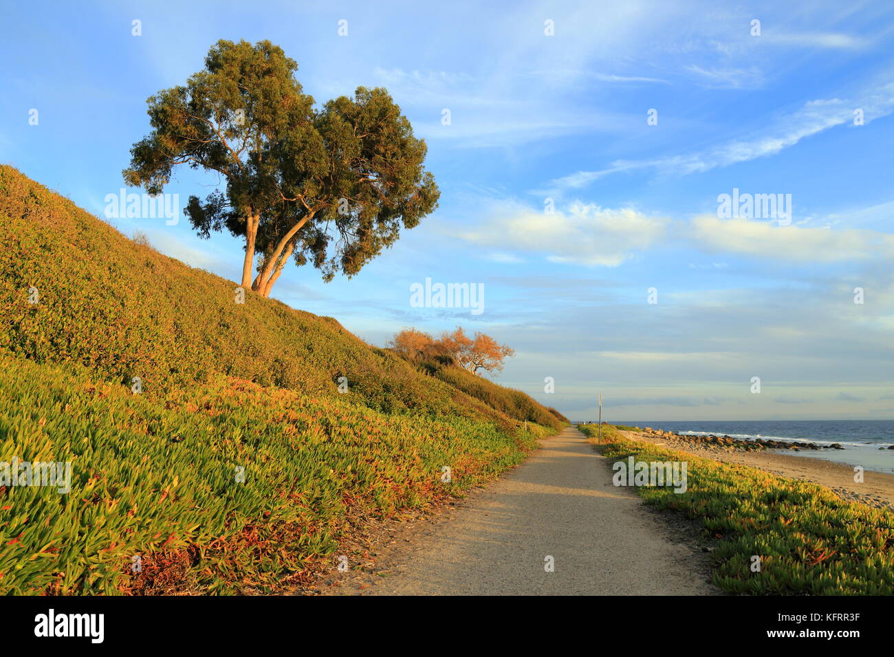Coastline water blue path walkway hi-res stock photography and images ...