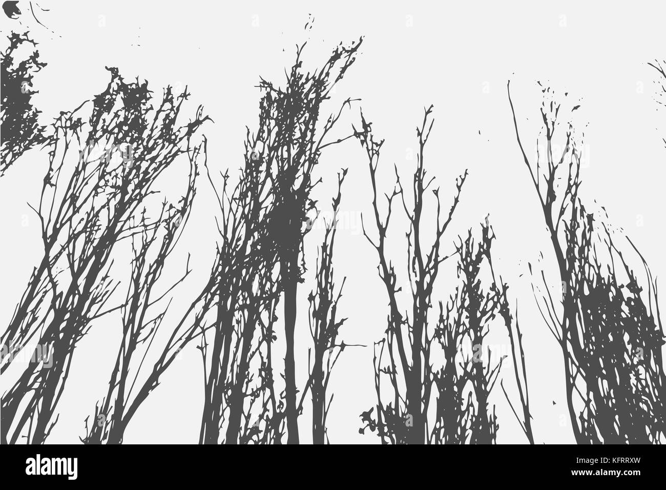 Silhouettes of Trees on subtle background. Tree Pattern. Vector ...