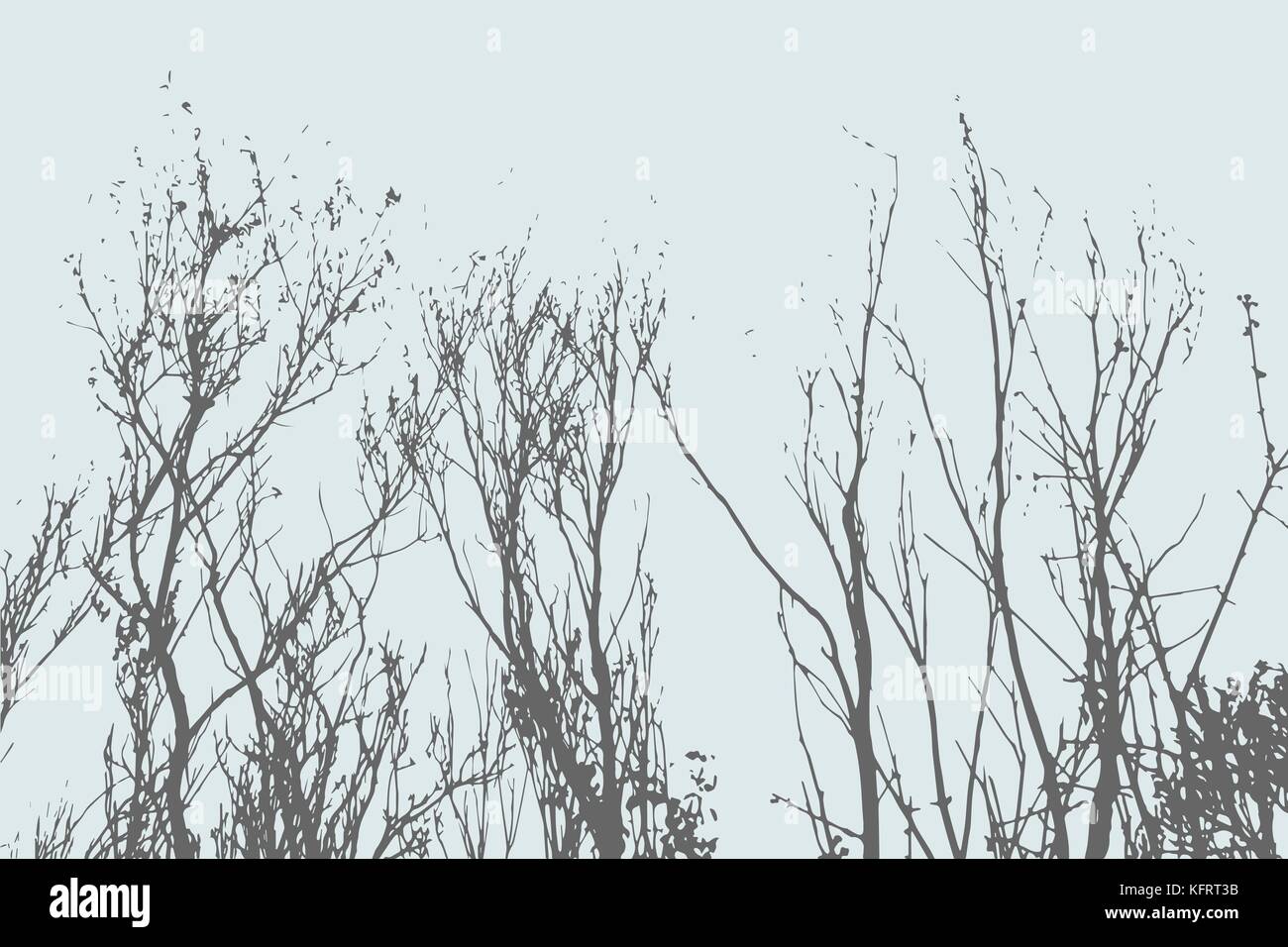Silhouettes of Trees on subtle background. Tree Pattern. Vector ...