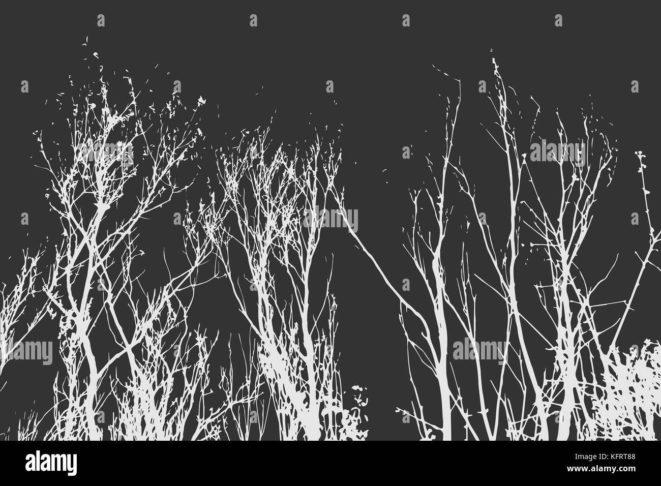 Silhouettes of Trees on subtle background. Tree Pattern. Vector ...
