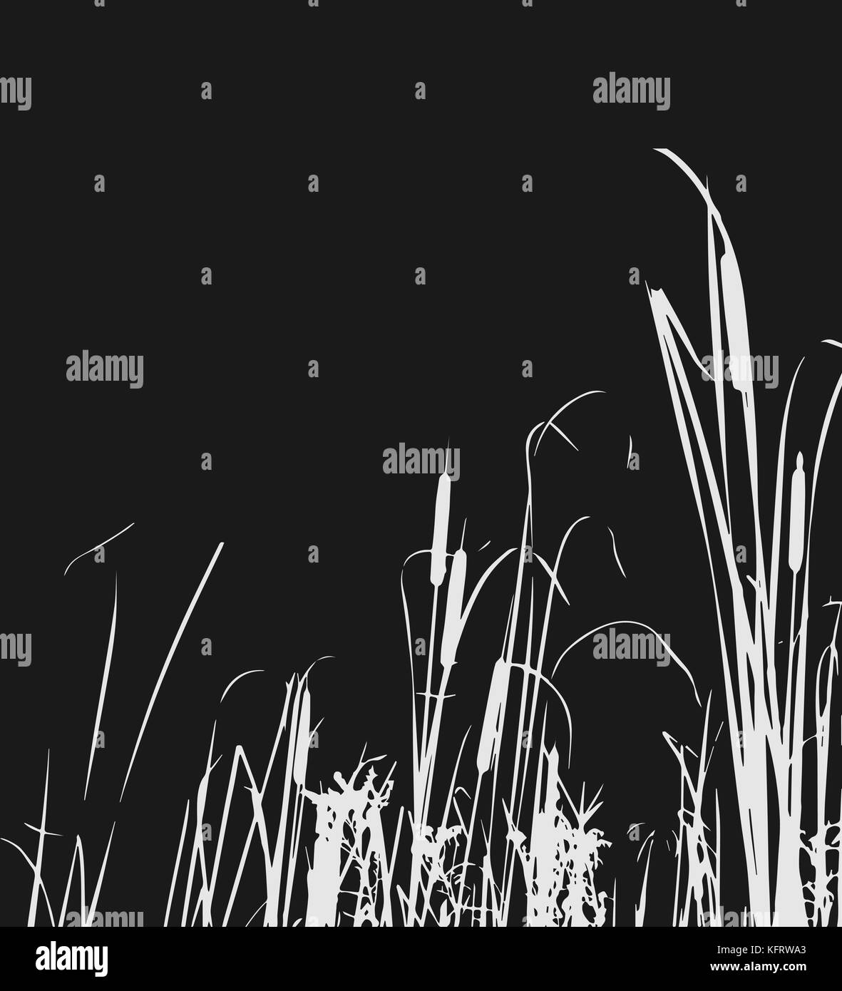 Silhouette of Reed Bush. Vector Illustration Stock Vector Image & Art ...