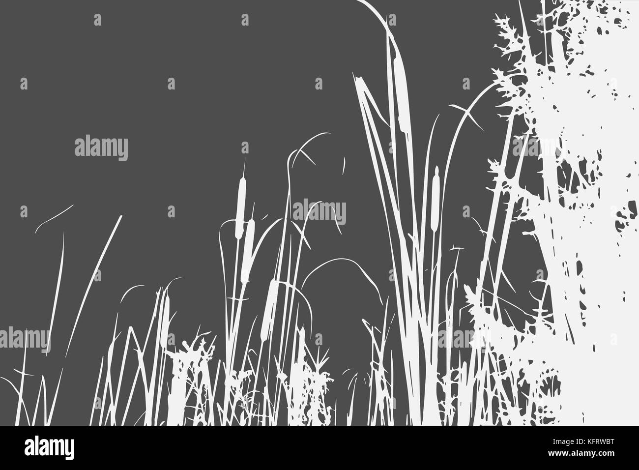 Silhouette of Reed Bush. Vector Illustration Stock Vector Image & Art ...