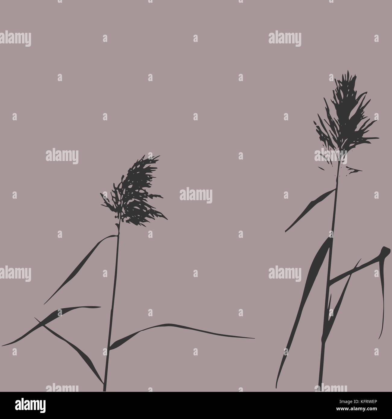 Silhouette of Reed Bush. Vector Illustration Stock Vector Image & Art ...