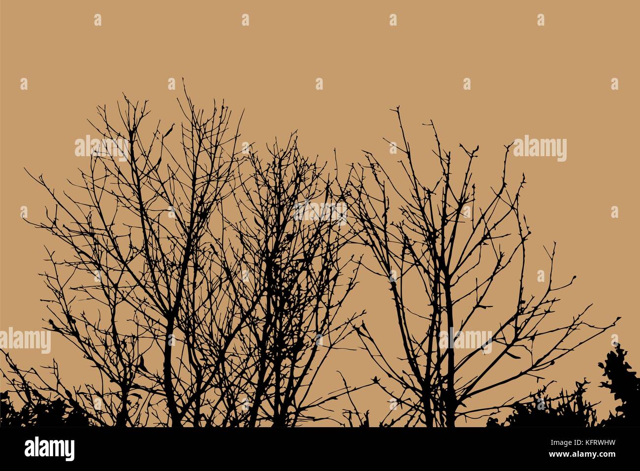 Silhouettes of Trees on subtle background. Tree Pattern. Vector ...