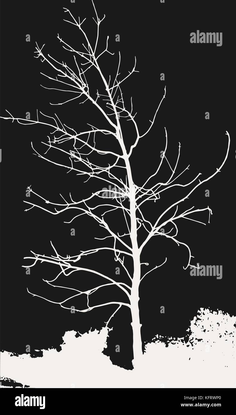 Silhouettes of Trees on subtle background. Tree Pattern. Vector ...